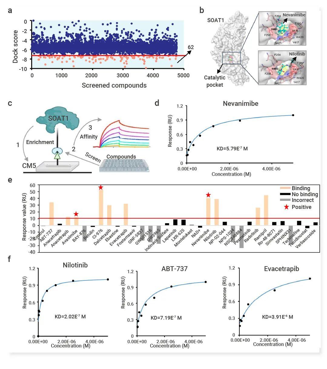 分子互作大比拼，SPR、ITC、MST、BLI，谁才是最强王者？| MedChemExpress (MCE) - 知乎