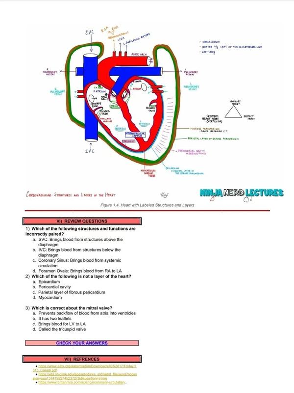 Ninja nerd USMLE学习资料推荐 |心内科学习笔记Ninja nerd Notes - 知乎