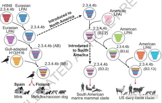 全球 H5N1 流感在哺乳动物中的泛滥(2024, Nature) - 知乎