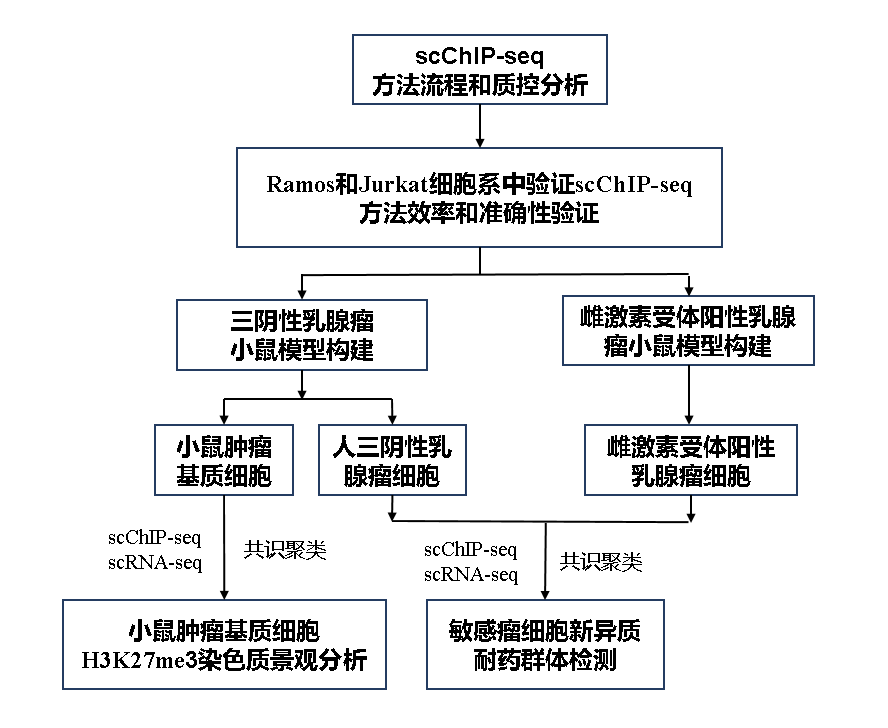 Nature genetics | 高通量单细胞ChIP-seq识别乳腺癌染色质状态的异质性 - 知乎