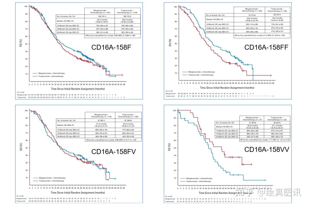 HER2阳性乳腺癌新药马吉妥昔单抗上市！后线治疗再添新选 - 知乎