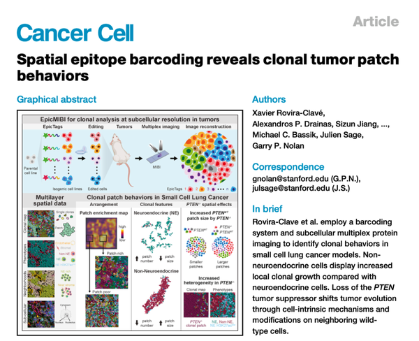 Cancer Cell 丨 条形码揭示NE与非NE癌细胞空间演化特征 - 知乎