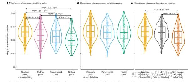 跟着Nature学作图：R语言ggplot2箱线图、小提琴图、抖动散点图 - 知乎