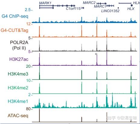 一文带你解锁新技术—CUT&Tag技术 - 知乎