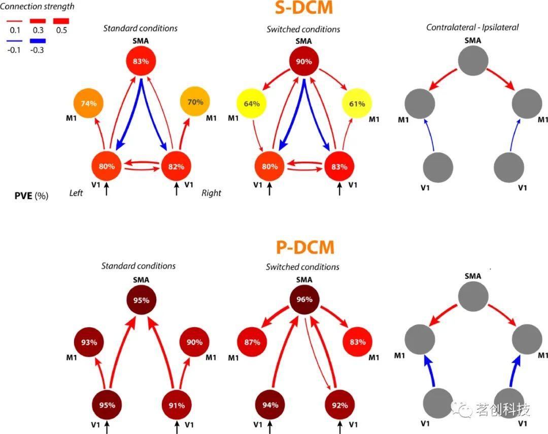 BOLD信号的生理建模及其对有效连接的影响 - 知乎