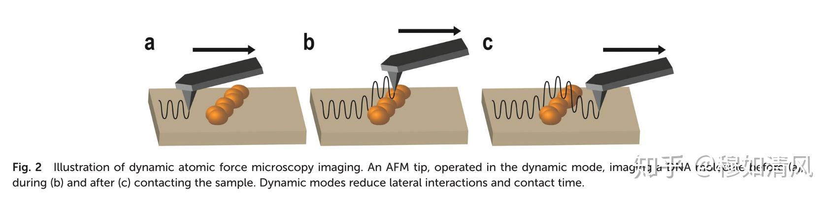 原子力显微镜AFM（1） - 知乎