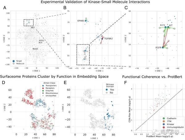 PNAS | MIT团队开发出一种用于预测药物-靶标结合的机器学习方法 - 知乎