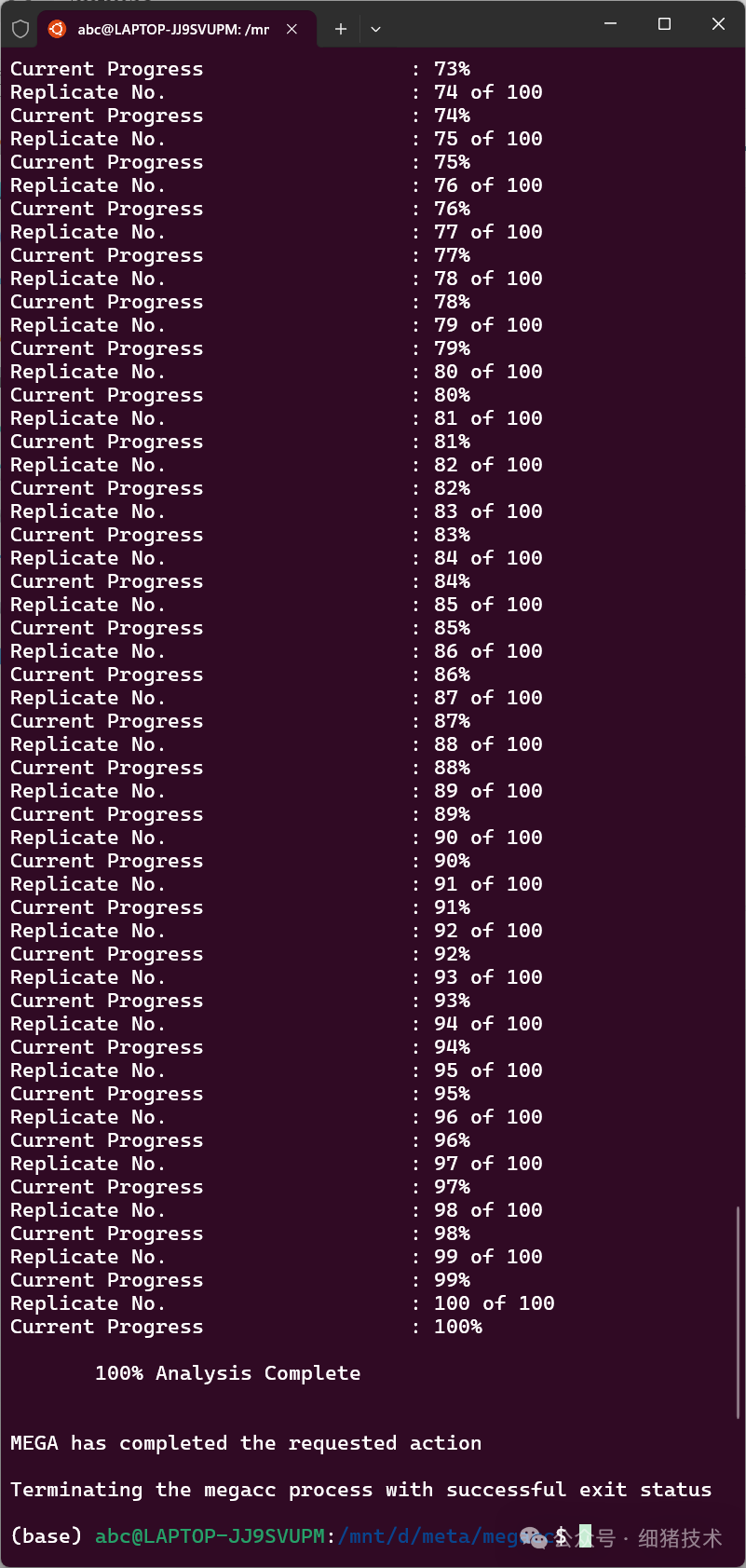 MEGA-CC程序使用方法 - 知乎