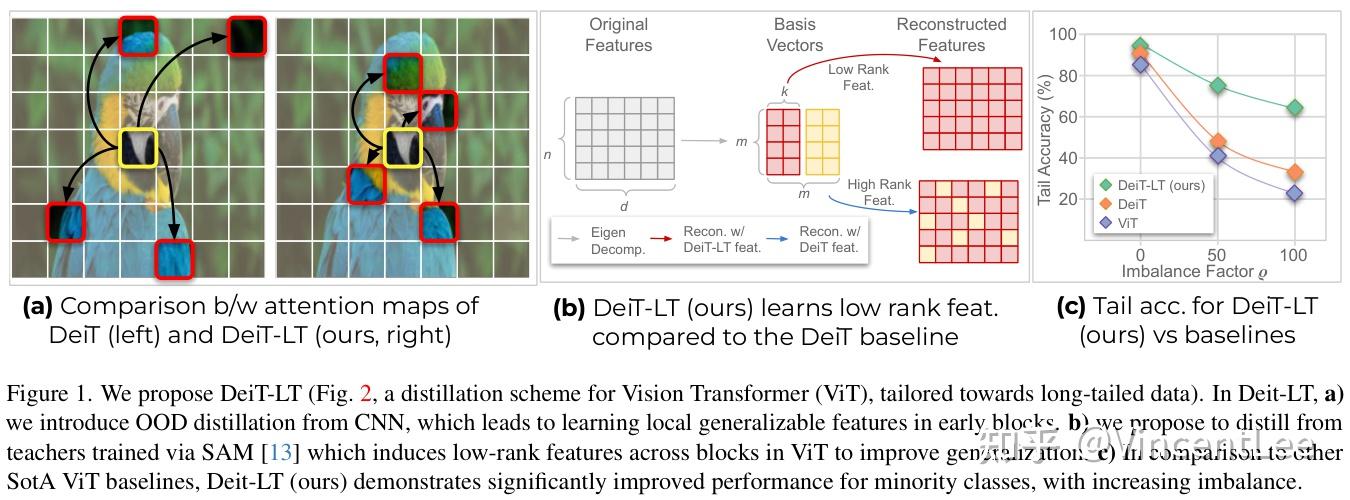 DeiT-LT：印度科学院提出针对长尾数据的`DeiT`升级模型 | CVPR 2024 - 知乎