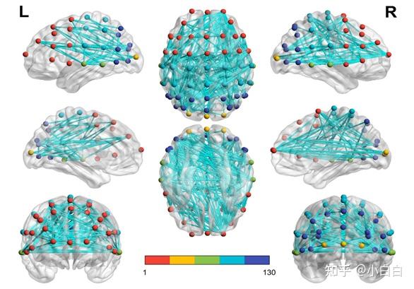 利用BrainNet画的三维脑网络图 - 知乎