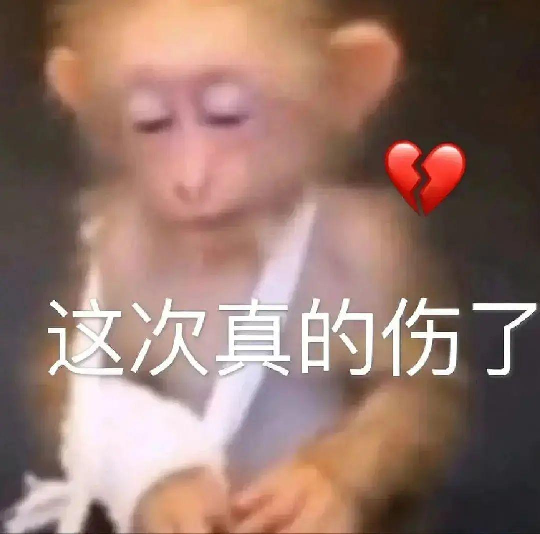 吗喽表情包、猴子表情包，高清无水印 - 知乎