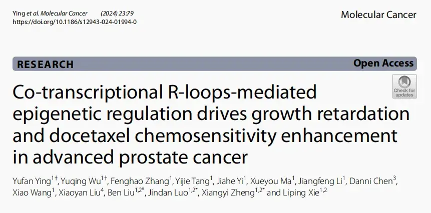 m6A与R-loop研究前沿 | 从基因组稳定性到癌症靶向治疗的机制全景 - 知乎