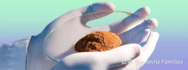 EpiCor：活化免疫系统的天然钥匙 - 知乎