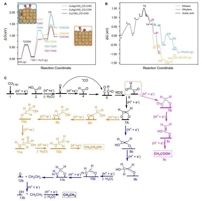 Nature子刊：AgCu SAA加Ag NP，实现级联电催化CO2转化为多碳产物 - 知乎