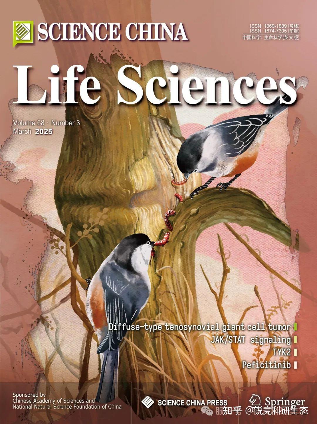 《Science China Life Sciences》封面设计全过程分享 | Vol.68 No.3 - 知乎