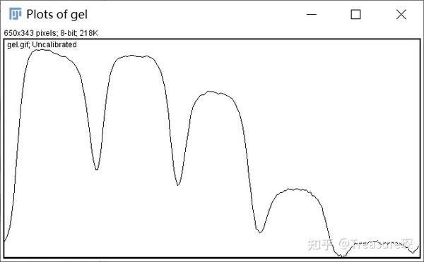 ImageJ实用技巧——Western Blot定量分析深入探究(定量分析篇) - 知乎