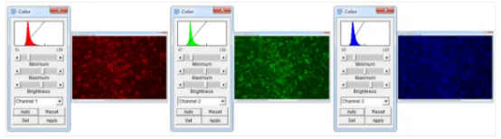 ImageJ——对图片背景进行校正 - 知乎
