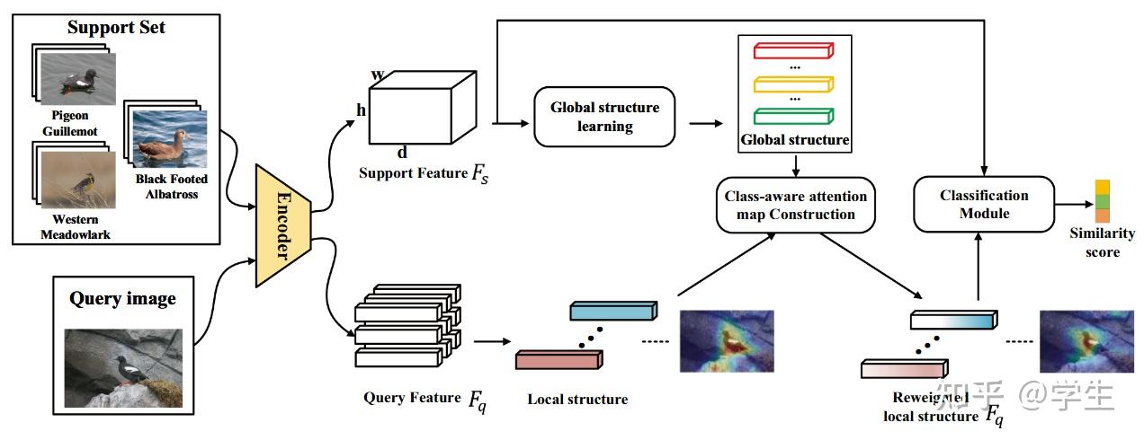 A few‑shot fine‑grained image classification method leveraging global ...