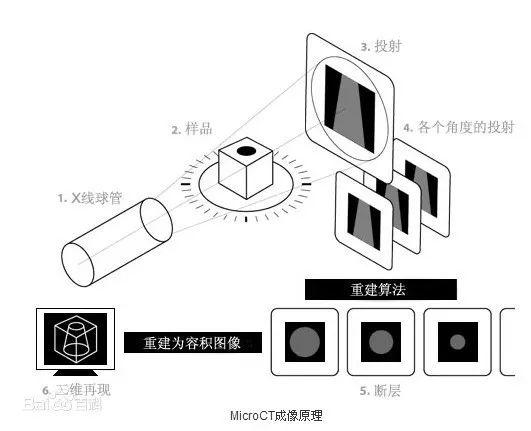 一文读懂显微CT（Micro-CT） - 知乎