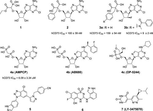 23年2月美妙小分子 - 知乎