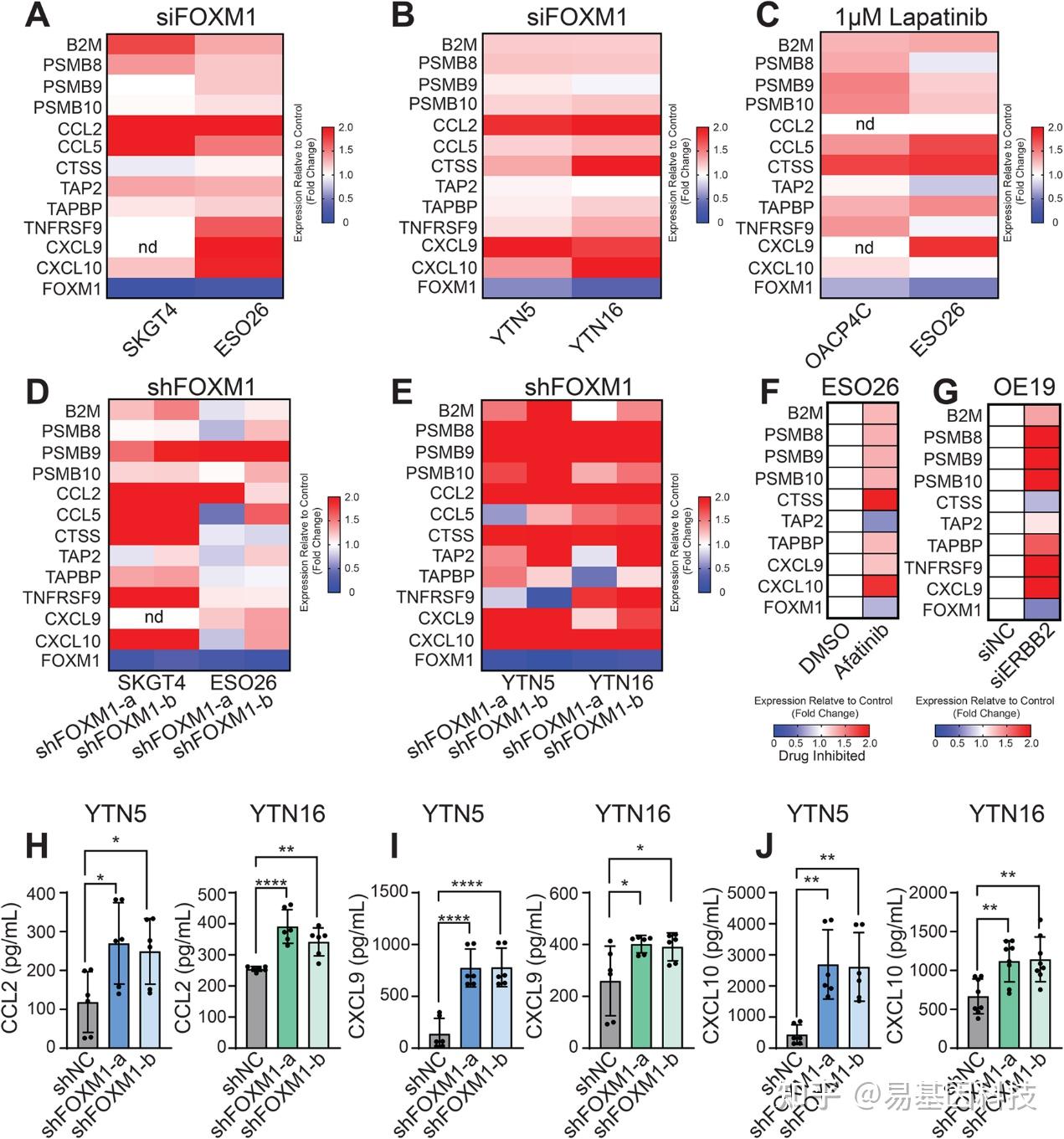易基因：WGBS+ChIP-seq等表观组分析揭示FOXM1 是抗肿瘤免疫应答的关键调控因子 - 深圳市易基因科技 - 博客园
