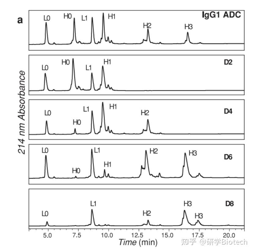 半胱氨酸偶联的IgG1/ IgG2抗体偶联药物(ADC)表征对比分析 - 知乎
