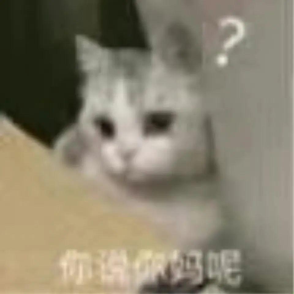 猫咪的表情包 - 知乎