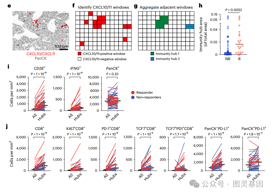 Nat Immu | 哈佛MIT团队发现干细胞“免疫中枢”，与免疫治疗响应相关 - 知乎