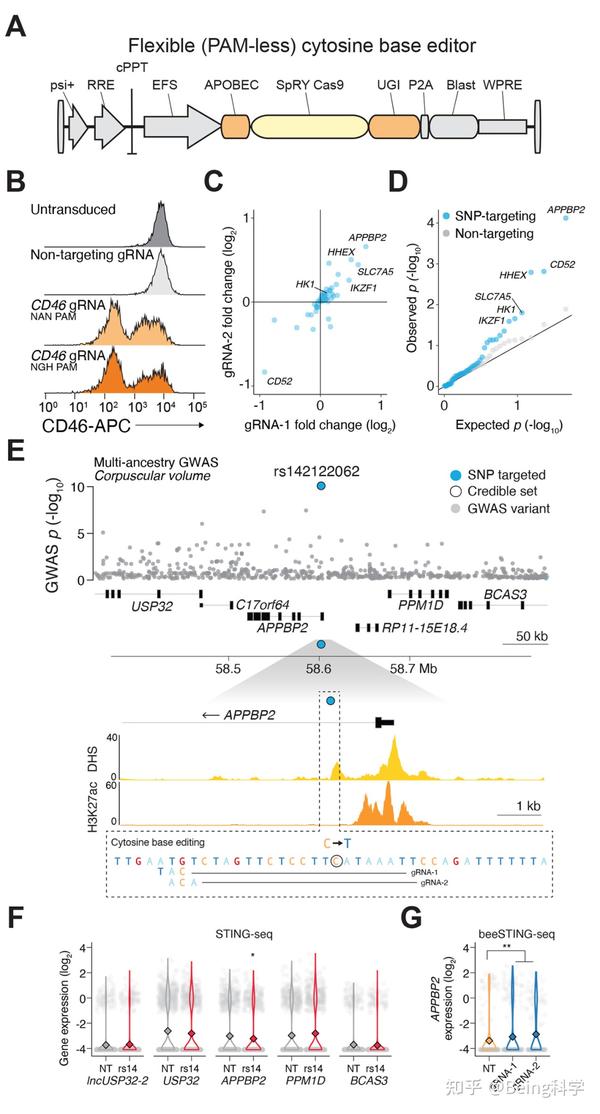 Science | 利用单细胞CRISPR筛选，发现GWAS位点的靶基因和途径！ - 知乎