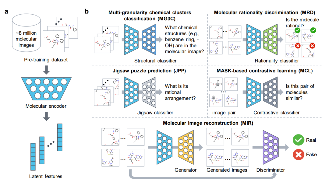 Nat.Mach.Intell | ImageMol: 精准预测分子性质和药物靶标的自监督学习框架 - 知乎
