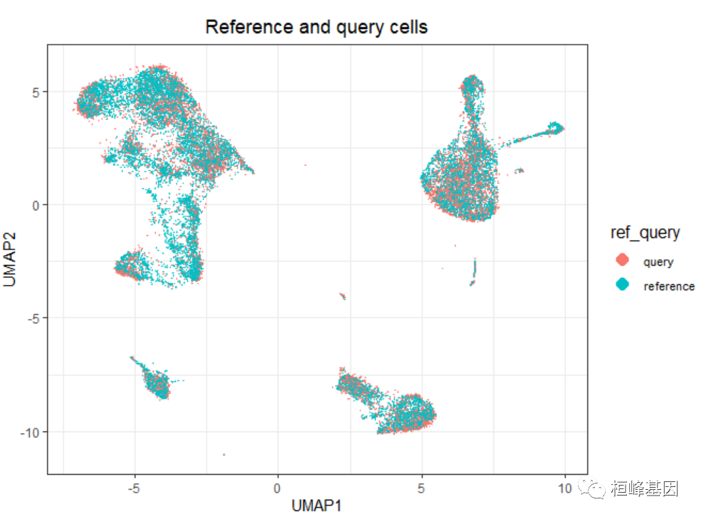 SCS【19】单细胞自动注释细胞类型 (Symphony) - 知乎