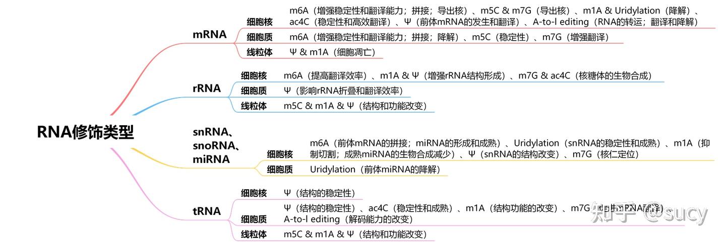 RNA修饰 - 知乎
