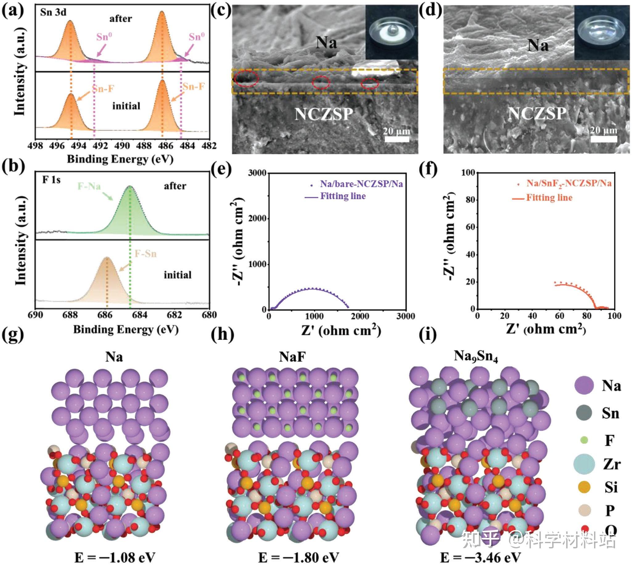 南开大学Advanced Functional Materials：用于固态钠电池的SnF2诱导的高电流耐受固体电解质 - 知乎