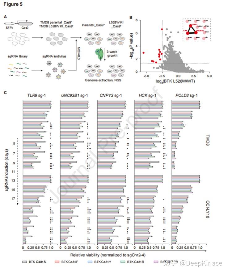 NIBS韩霆课题组、百济神州、DeepKinase联合揭示BTKi治疗B细胞淋巴瘤的耐药作用机制 - 知乎