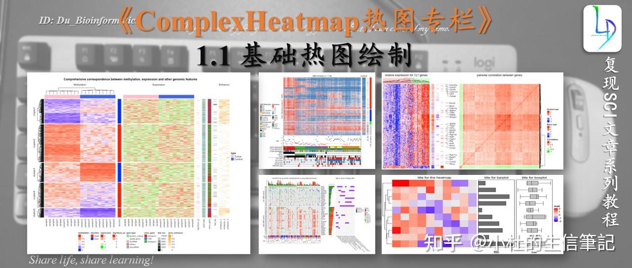 ComplexHeatmap热图专栏 | 1.1 基础热图绘制 - 知乎