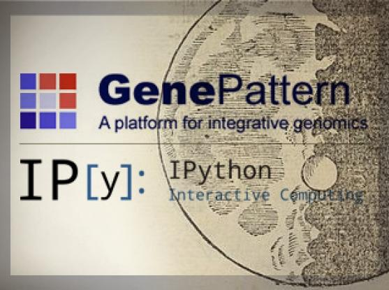 如何用GenePattern作出如文献中所示的热图及聚类图片 - 知乎