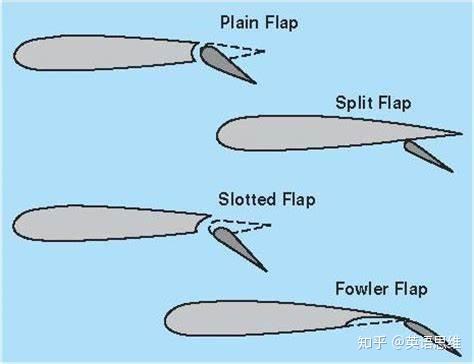 同样是鸟儿扇动翅膀，你知道flap和flutter有什么区别吗？ - 知乎