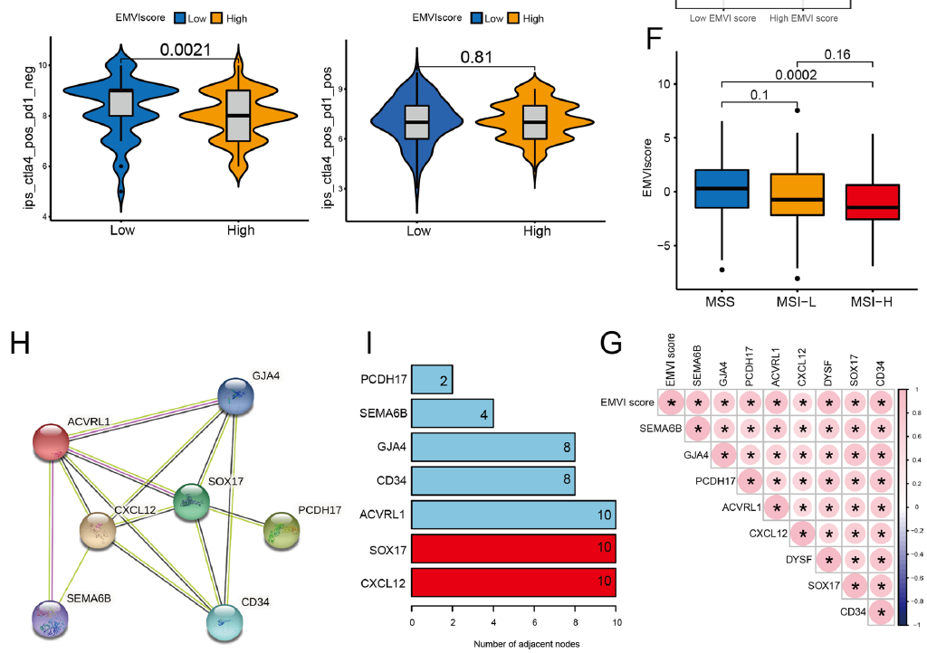 从临床问题切入，分析壁外血管侵犯(EMVI)和免疫相关基因！这篇8分+生信文章极具借鉴意义，还告诉你验证实验这么加更有价值~ - 知乎