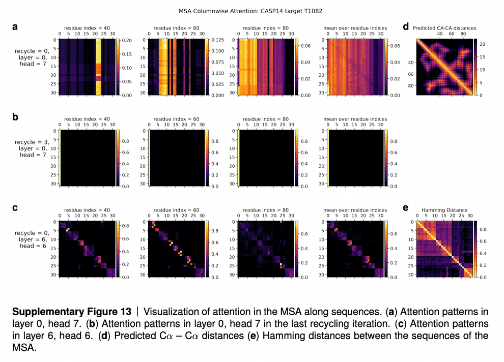 理解AlphaFold2 - 知乎