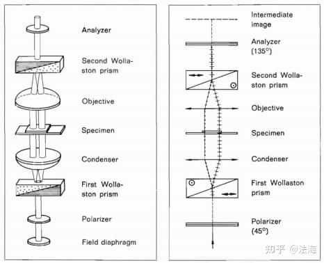 DIC：微分干涉对比显微镜 二、棱镜的进化 - 知乎