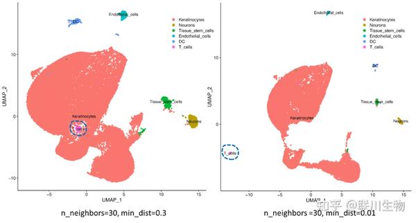 【干货】高分SCI要用tSNE还是UMAP？ - 知乎