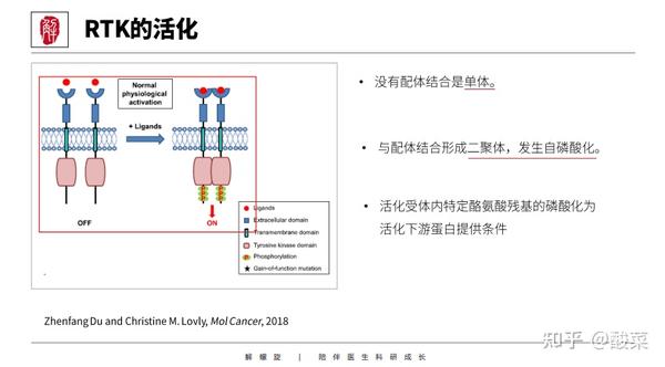 1条就是1篇SCI！带你研究12条信号通路，NF-κB、MAPK、AKT、PI3K…… - 知乎