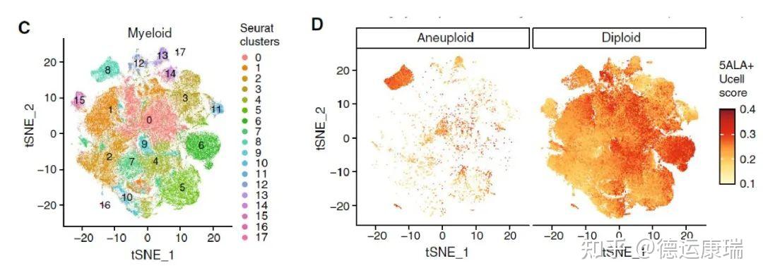 聚焦生信 | 基因集分析之基因集活性评分-附代码 - 知乎