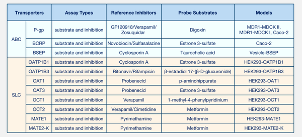 更新解读 | NMPA，FDA药物相互作用研究技术指导原则（二）──转运体介导的药物相互作用体外评估策略 - 知乎