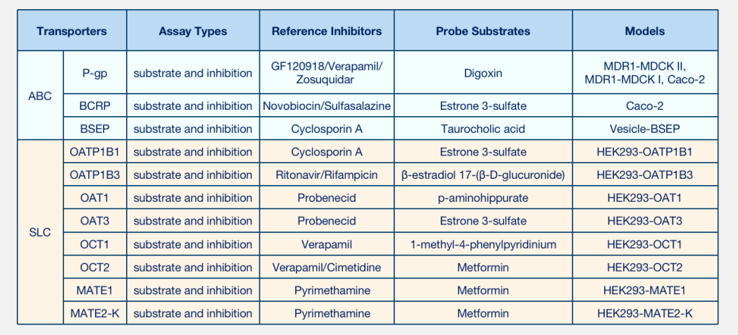 更新解读 | NMPA，FDA药物相互作用研究技术指导原则（二）──转运体介导的药物相互作用体外评估策略 - 知乎
