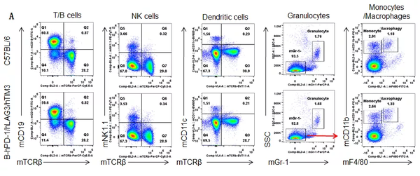 PD-1/LAG3/TIM3三靶点人源化小鼠 - 知乎