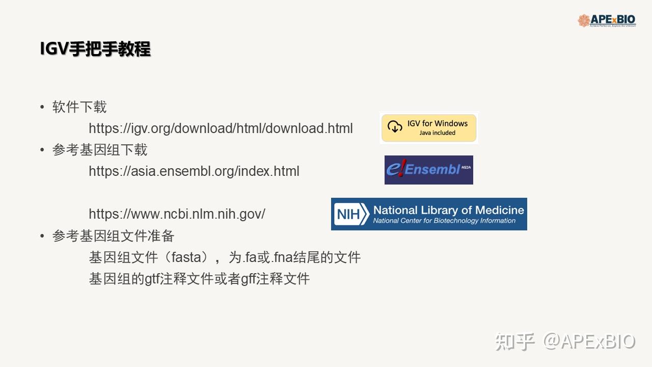 表观分析之peak可视化（IGV教程版） - 知乎