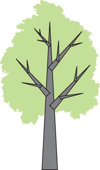 一篇文章带你读完《GPU Gems 3》 - 知乎