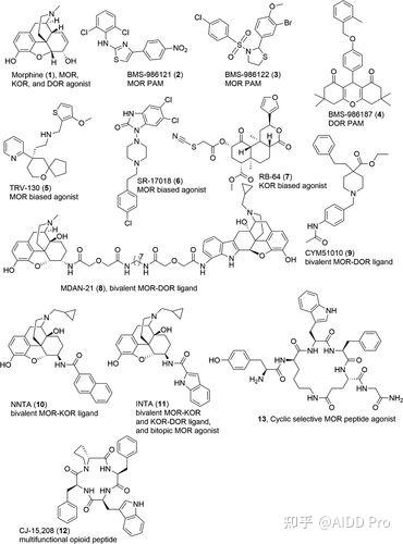 深度解析：疼痛药物发现的新方法、候选药物和靶点 - 知乎