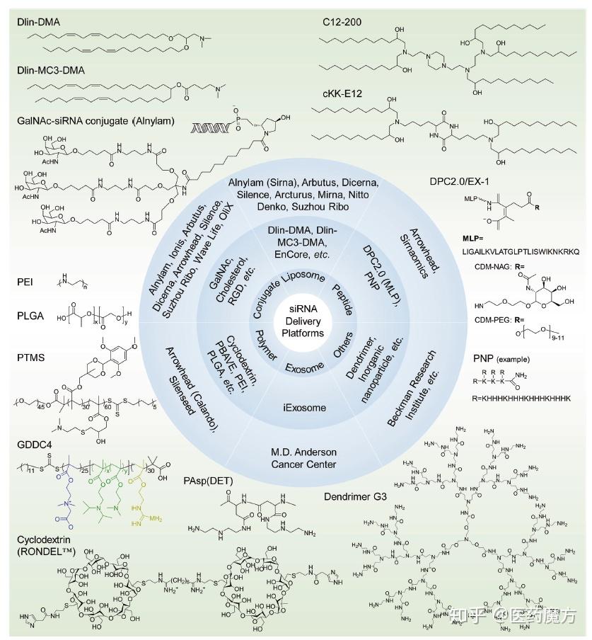 RNAi疗法「图鉴」 - 知乎